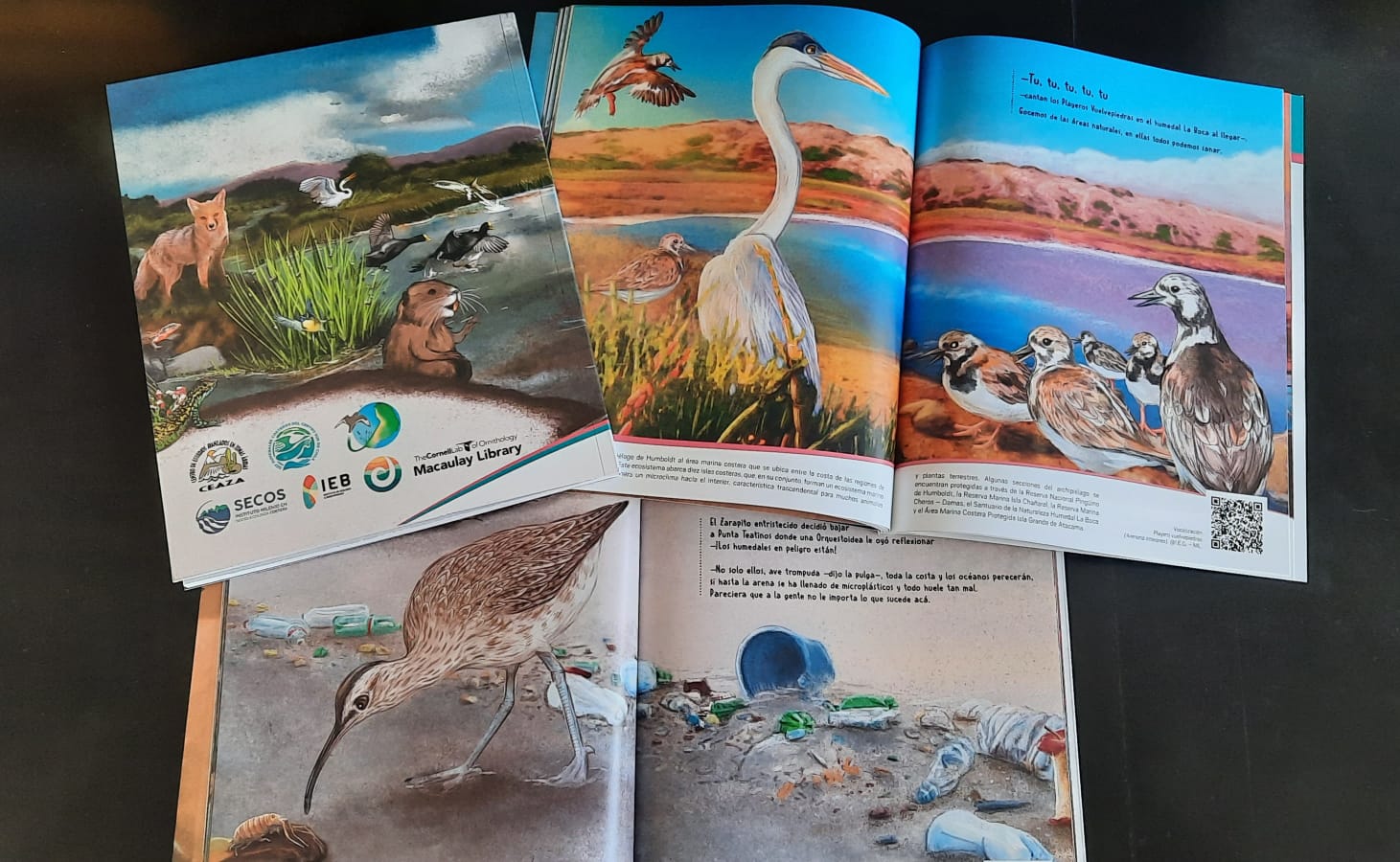 “La orquesta del humedal”: Cuento educativo muestra la importancia de ...